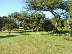 Indigenous Landscaping Landscape design Fountain Hill Estate