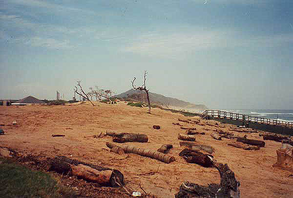 Coastal Dune Restoration Isipingo Beach