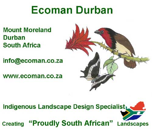 Introduction Landscape Design Specialist Ecoman Durban